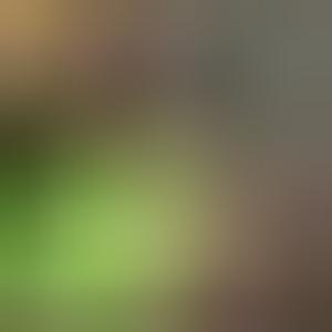 Zuzusweet (@zuzusweet) | Photos & Videos on Glamino